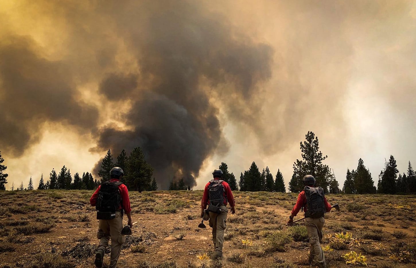 Wildland Fire Medical Support - Adventure Medics